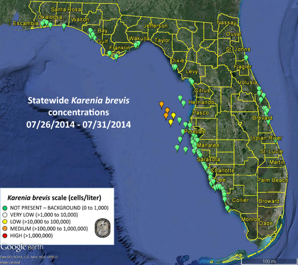 Experts: Red tide may approach shoreline | wtsp.com