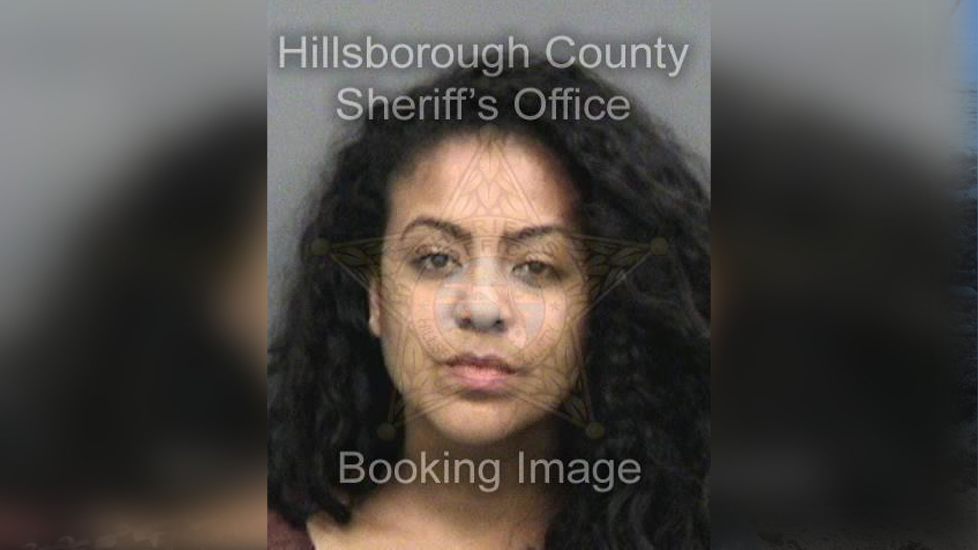 Wrong-way driver arrested near USF | wtsp.com Wrong-way driver arrested near USF | wtsp.com