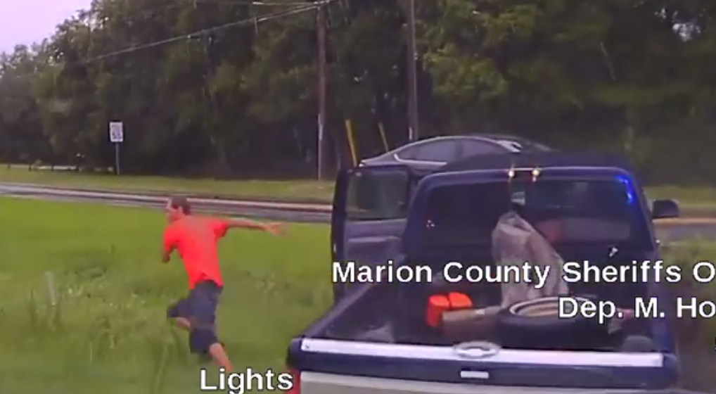 Fla Fugitive Caught After Wild Chase