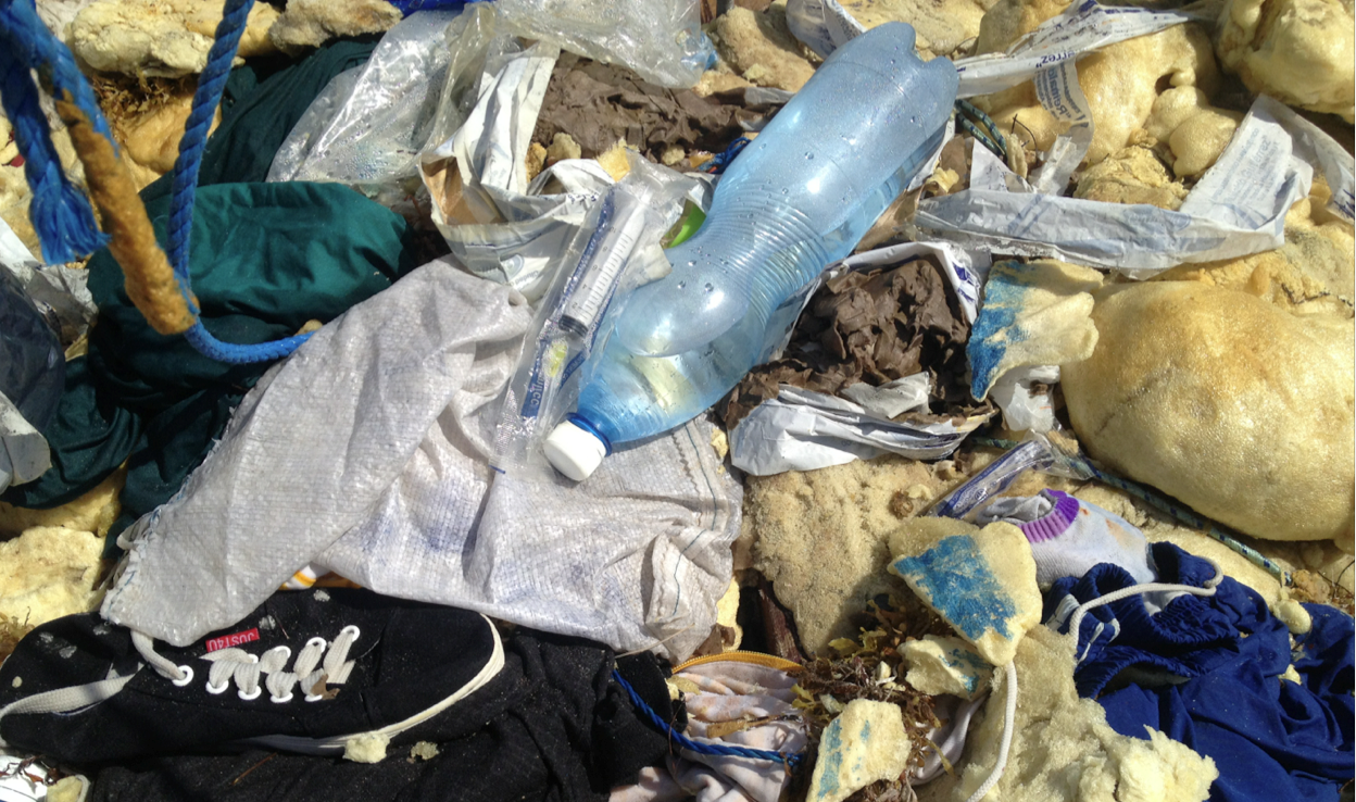 Mystery raft washes up on Florida beach | wtsp.com