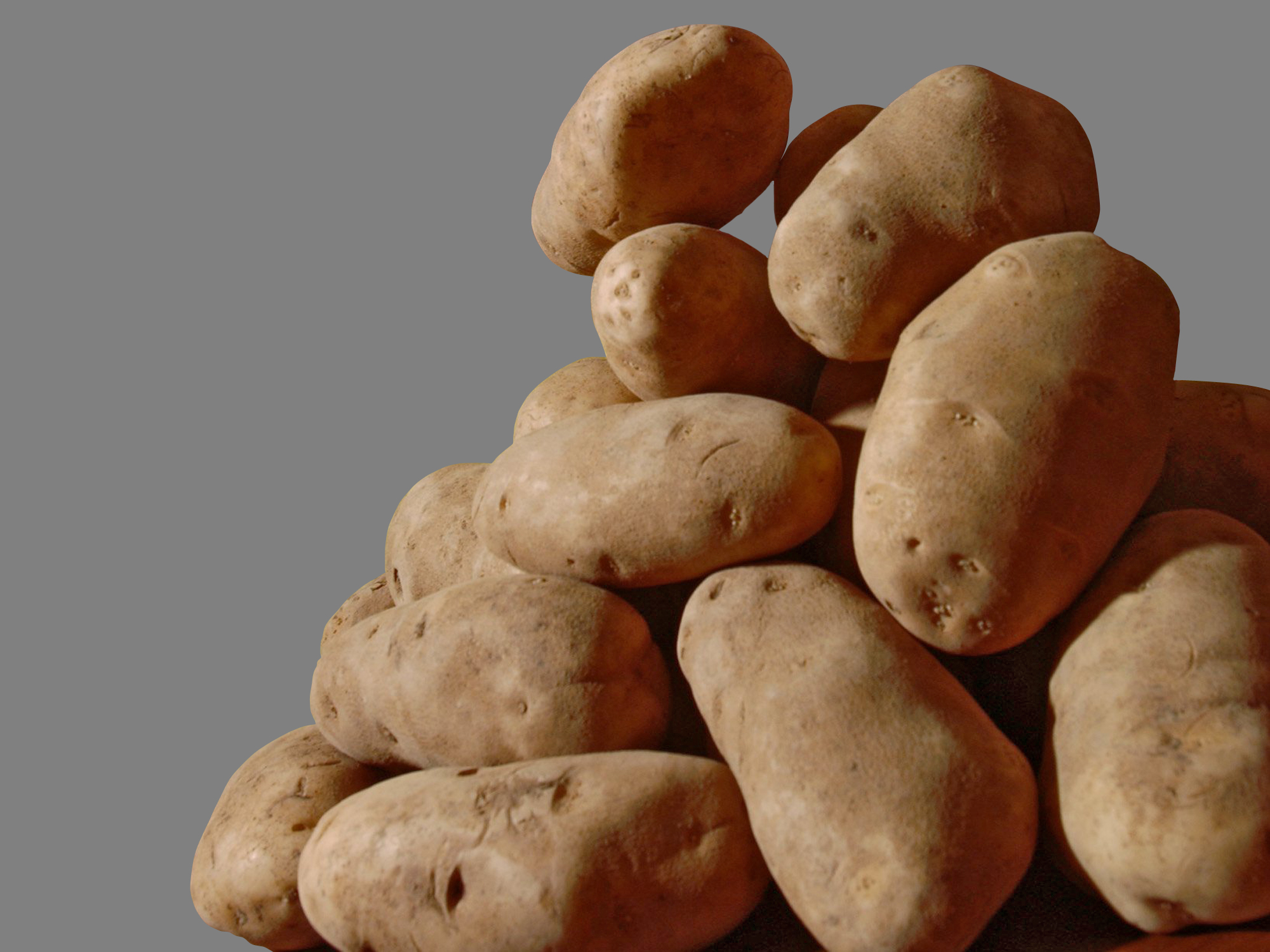 Police: Man 'armed' with potato in robbery attempt | wtsp.com