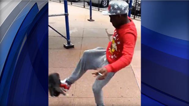 Man arrested after video of cat being kicked goes viral | wtsp.com