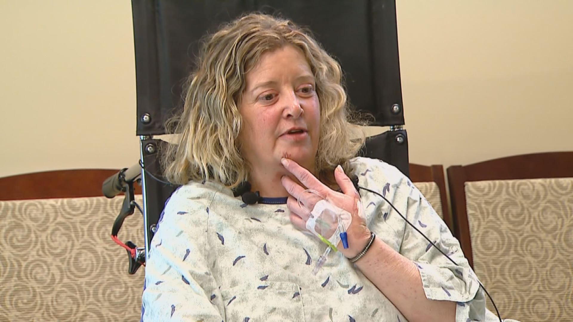 Two women attacked by moose in Colorado | wtsp.com