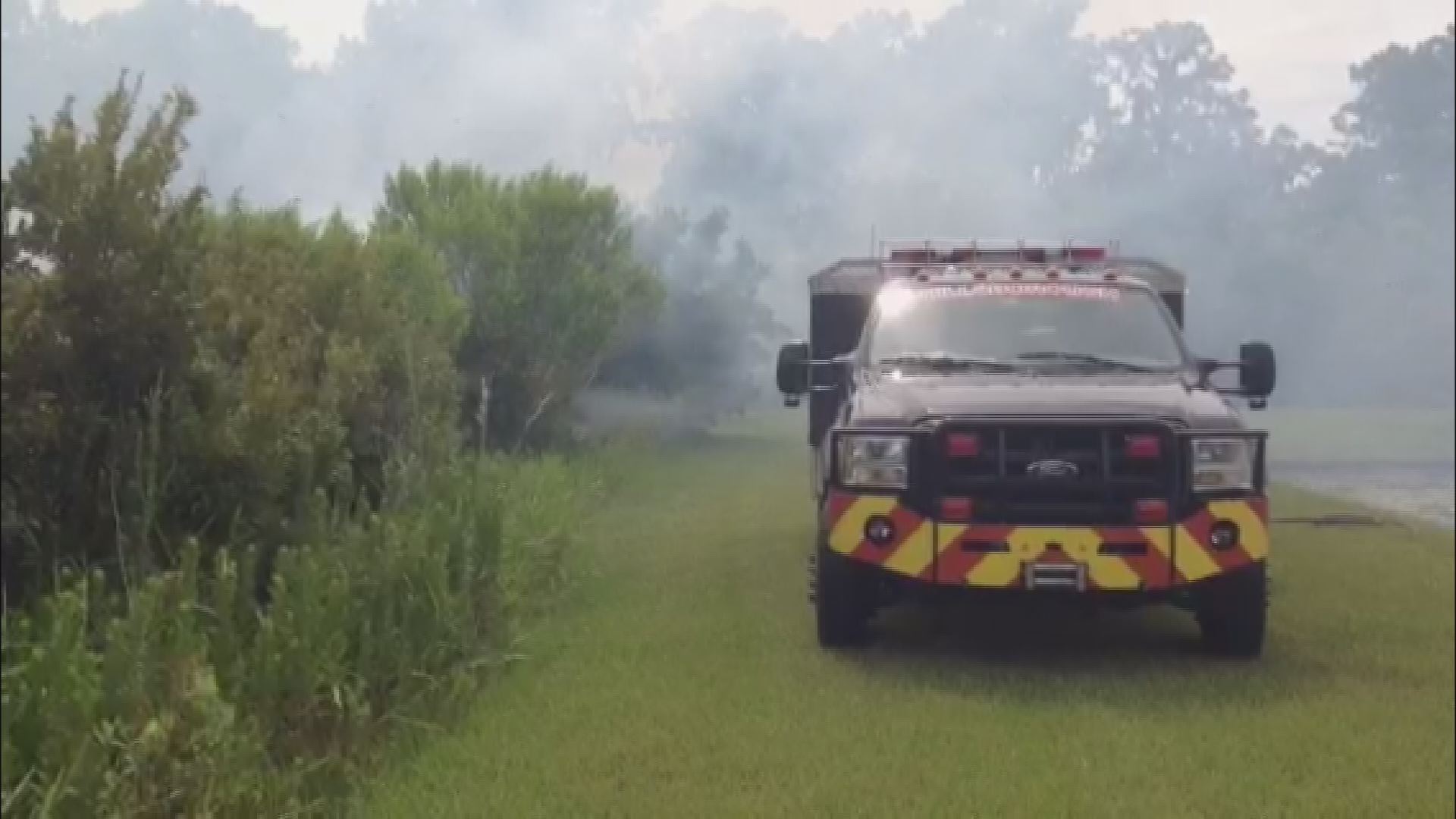 Brush fire in Riverview | wtsp.com