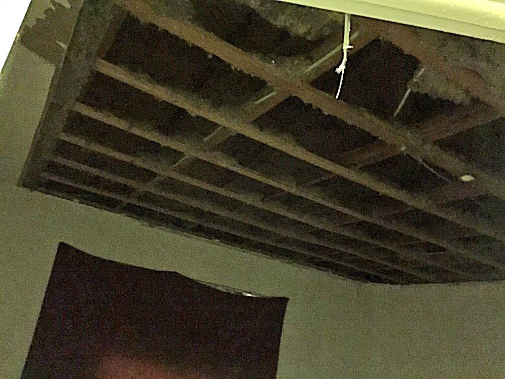 Largo apartment's bedroom ceiling collapses | wtsp.com