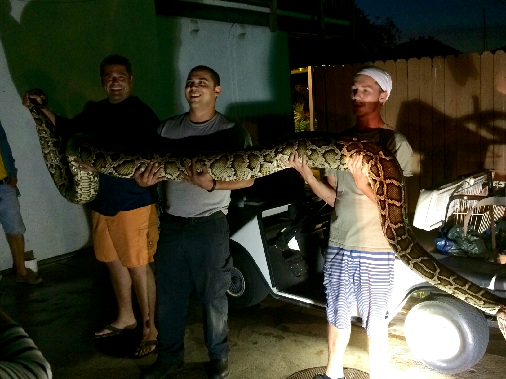 15 foot python caught behind FL restaurant | wtsp.com