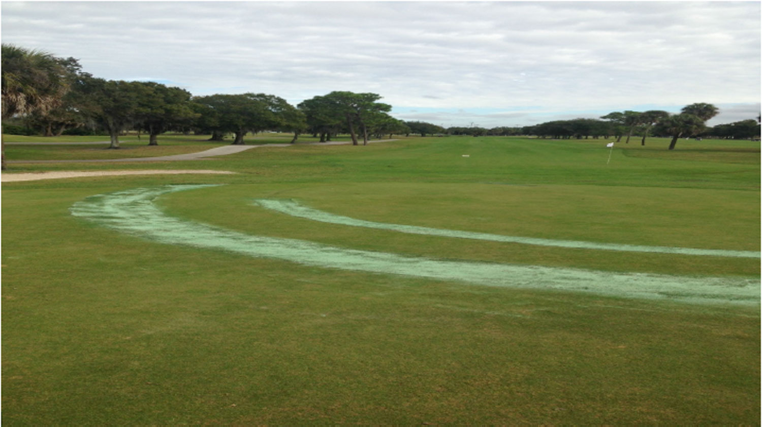 Vandalized Tampa golf course repaired | wtsp.com