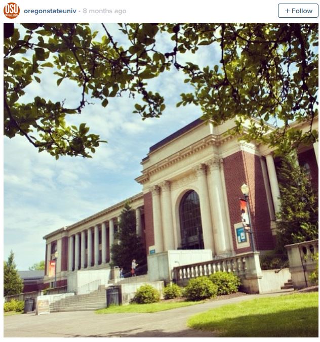 Student accused of making adult film in library | wtsp.com