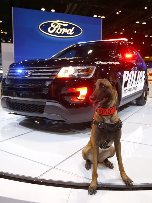 'Police dog' unveils Ford's new cop SUV cruiser | wtsp.com