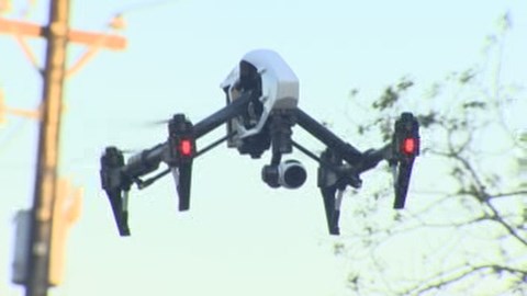 Drones being used to track Houston's stray dogs | wtsp.com