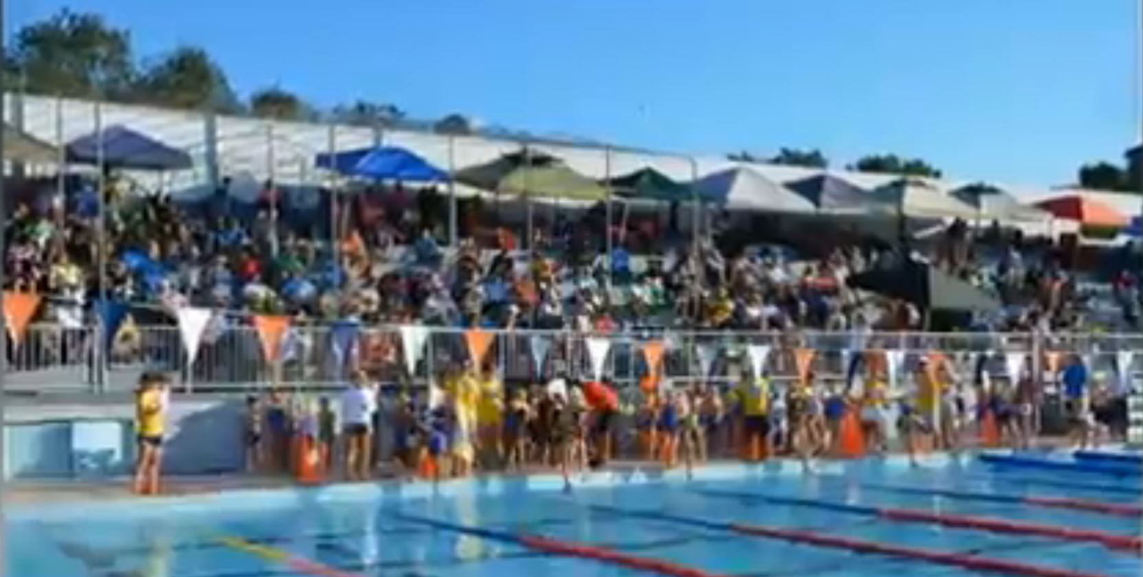 Swimmers want permanent shade at Tampa pool | wtsp.com