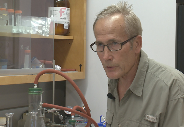 Shell Key could be in environmental stress | wtsp.com