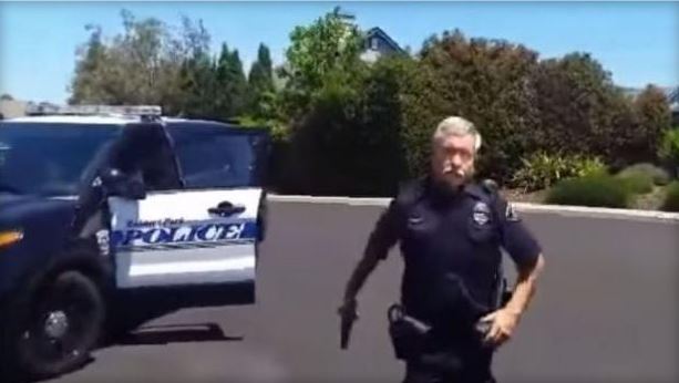 Cop under review after video of him pulling gun goes viral | wtsp.com