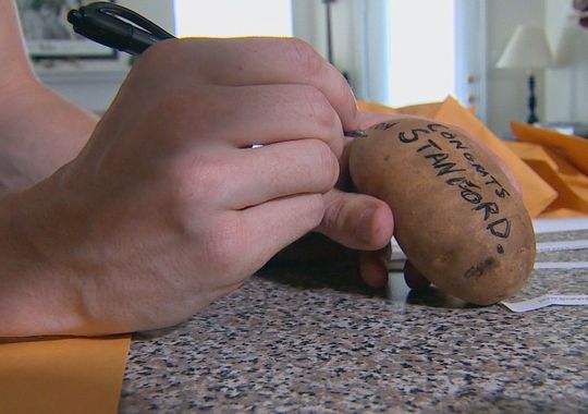 N. Texas man turns 'dumbest idea ever' into big business | wtsp.com