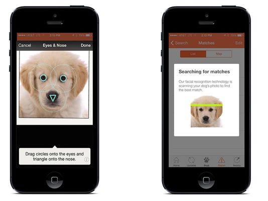 Entrepreneur uses facial recognition to find lost dogs | wtsp.com
