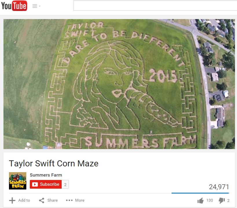Meet the Swiftie behind this massive Taylor Swift corn maze | wtsp.com