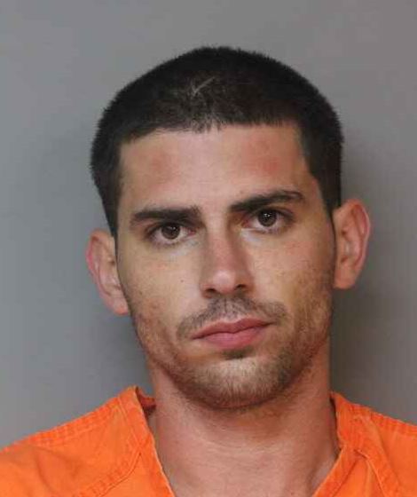 Wanted man tries to run over deputy during arrest | wtsp.com