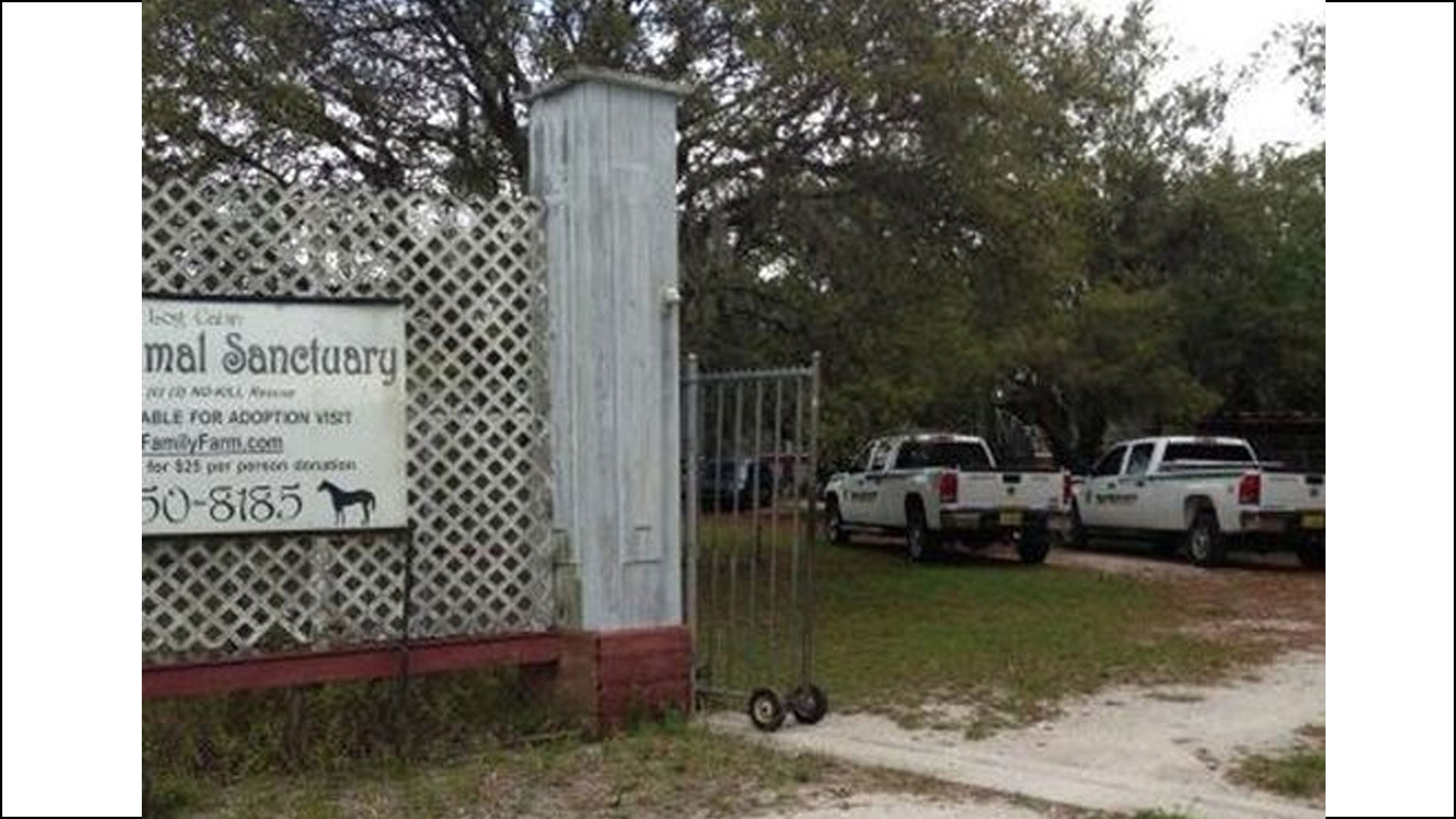 Napier Animal Sanctuary veterinarian arrested | wtsp.com