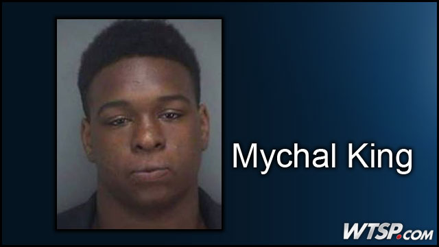 Teen gets life for random, fatal stabbing | wtsp.com