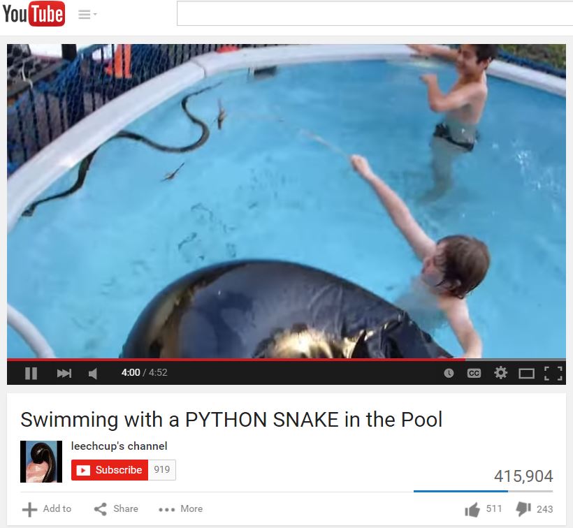 WATCH: Python sneaks into swimming pool with kids | wtsp.com