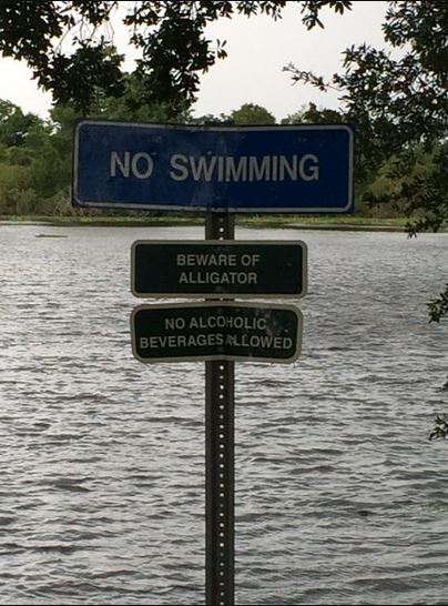Push for better signs near gator infested waters | wtsp.com