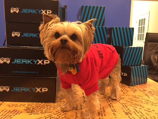 Ohio twins start jerky company, name dog CEO | wtsp.com