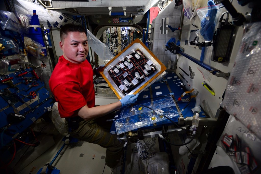 ISS space flowers may need help from 'Martian' | wtsp.com