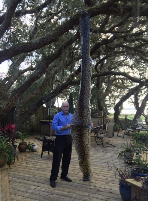 Florida man catches 13-foot python in Python Challenge | wtsp.com