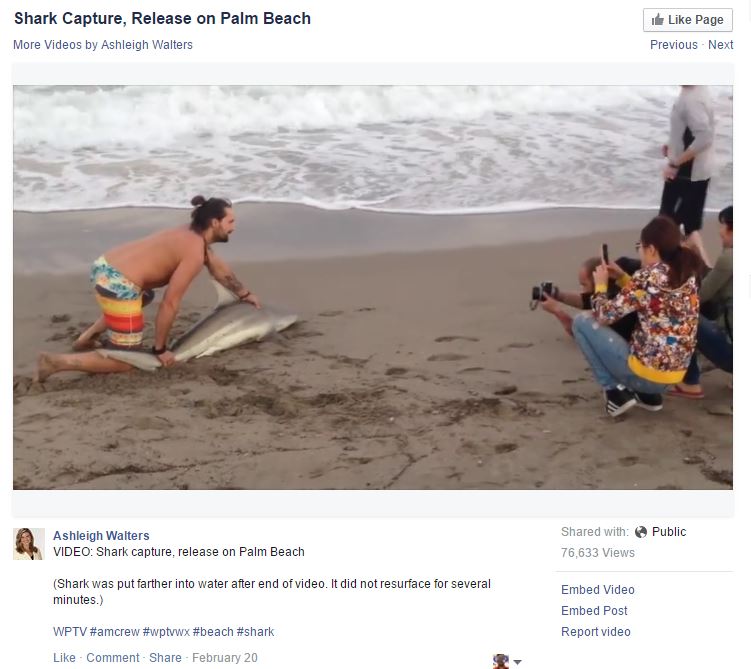 WATCH: Florida man pulls shark from water to pose for pictures | wtsp.com