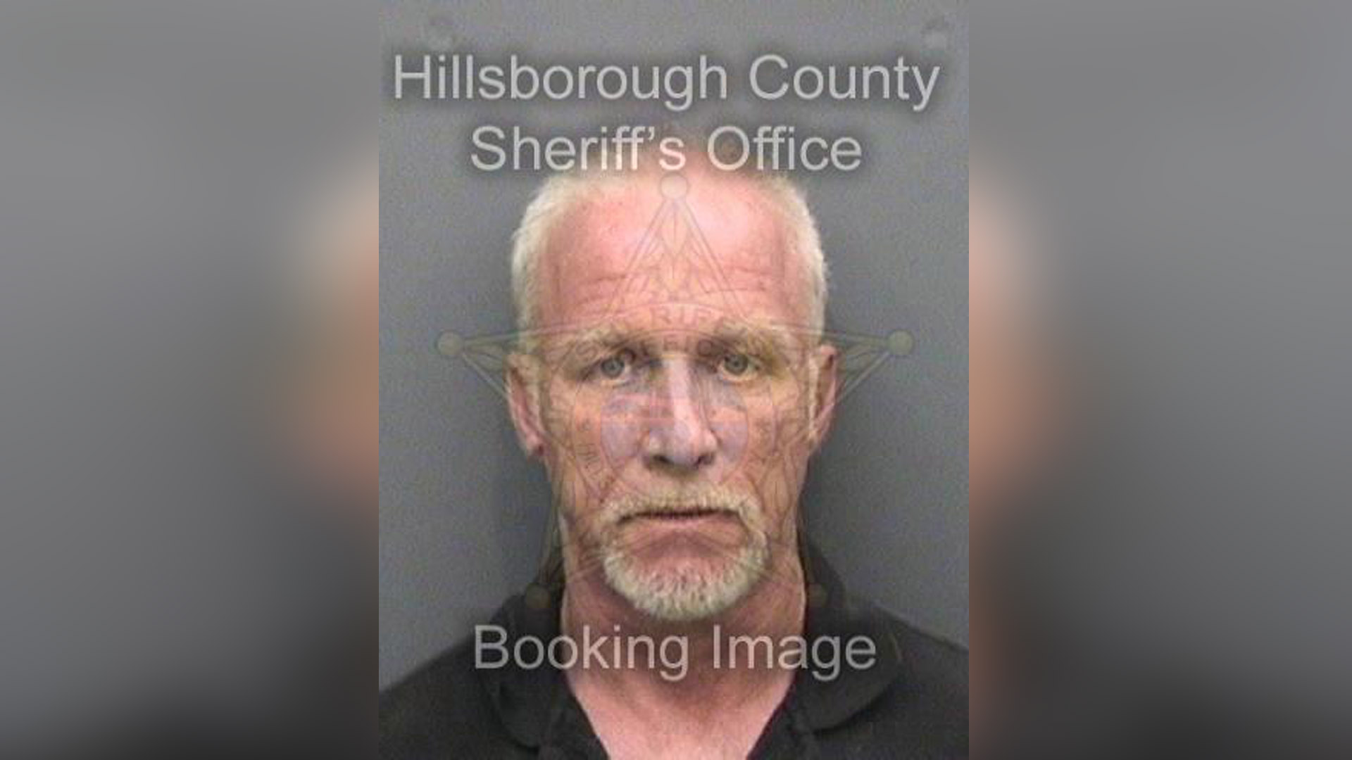 Hit-and-run driver arrested in Tampa | wtsp.com
