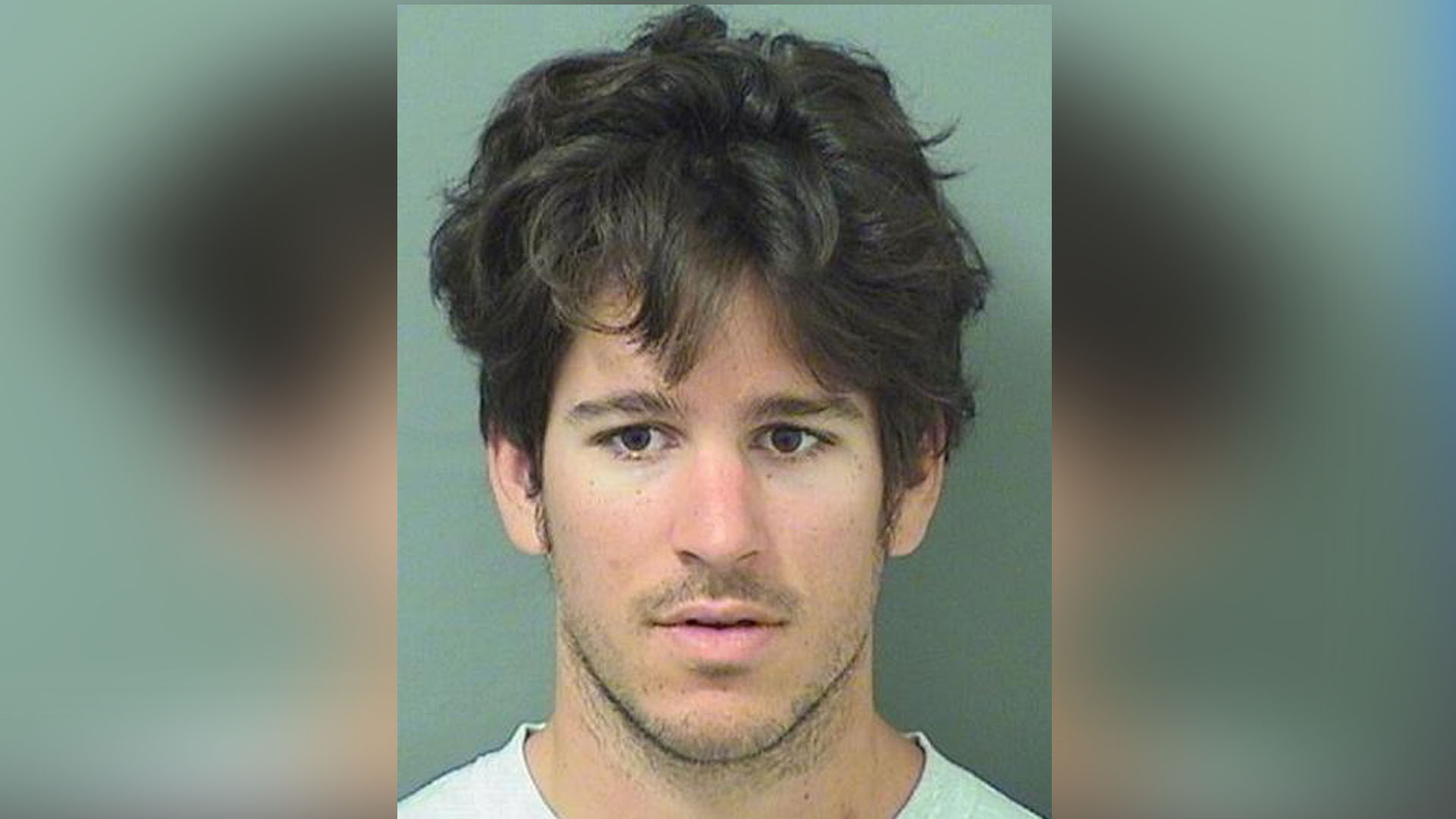 Florida man who threw alligator now throwing self on mercy of court ...