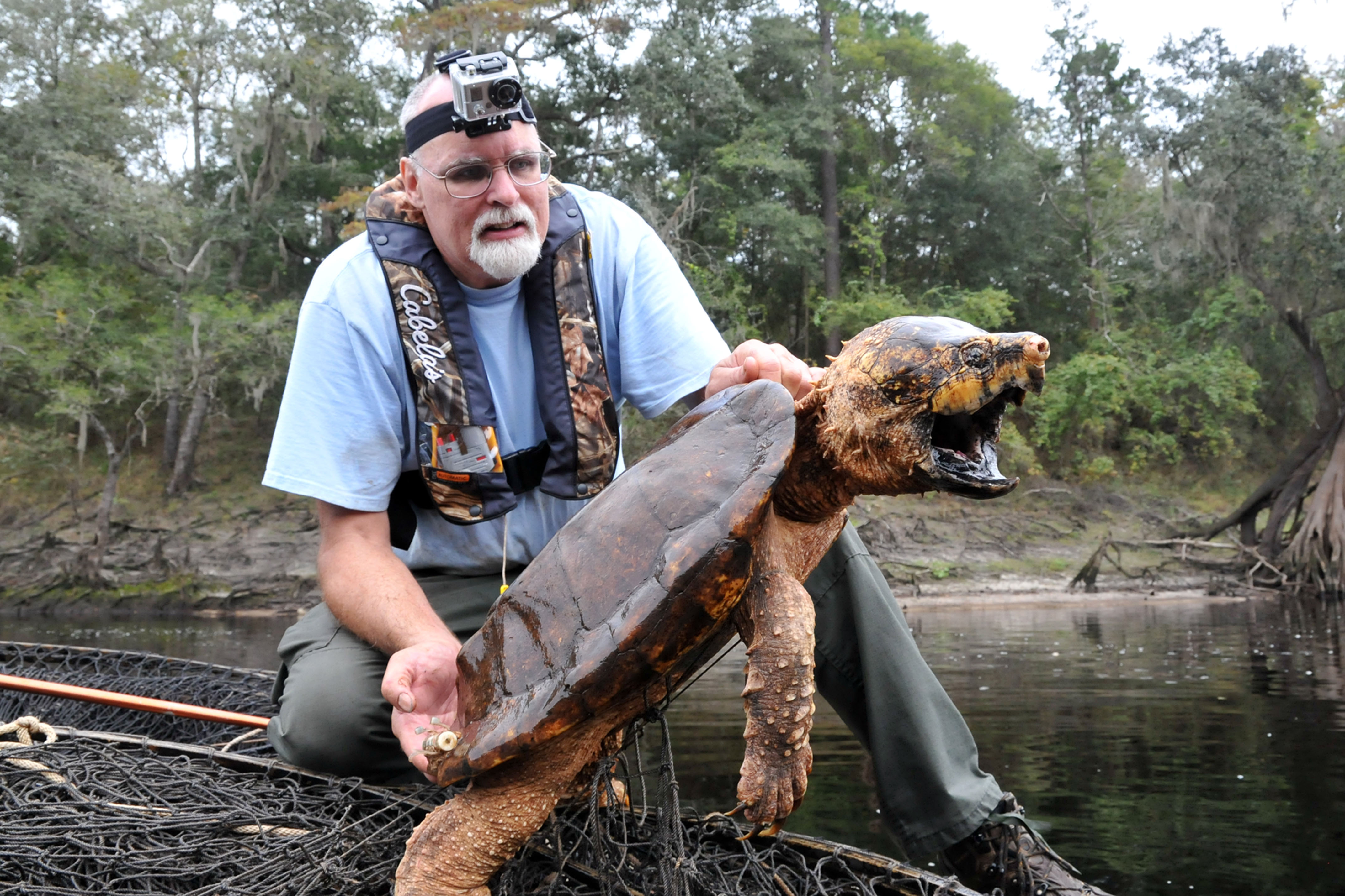 PHOTOS: Alligator Snapping Turtle | wtsp.com