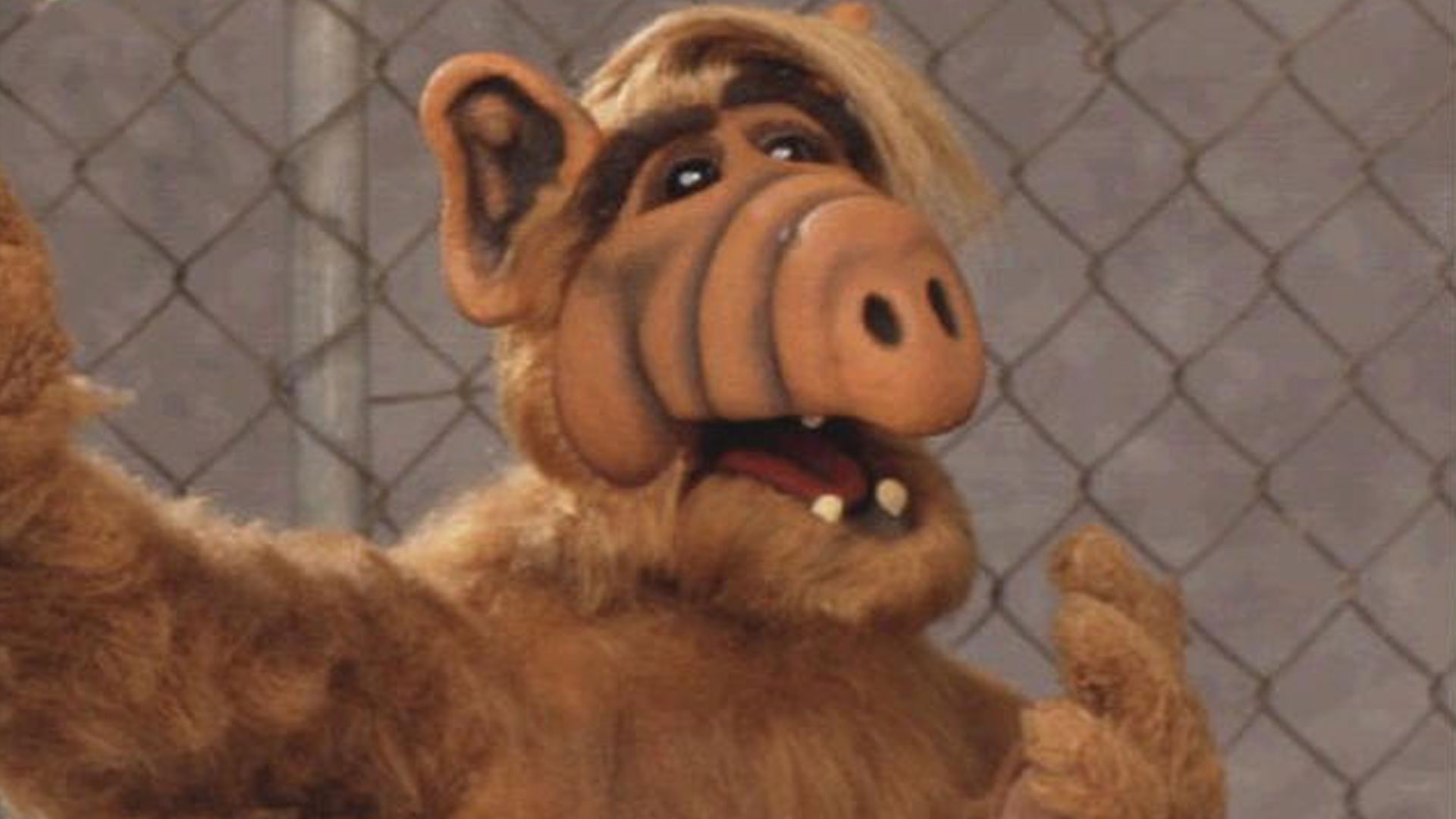 Michu Meszaros, actor who played 'ALF,' dies | wtsp.com