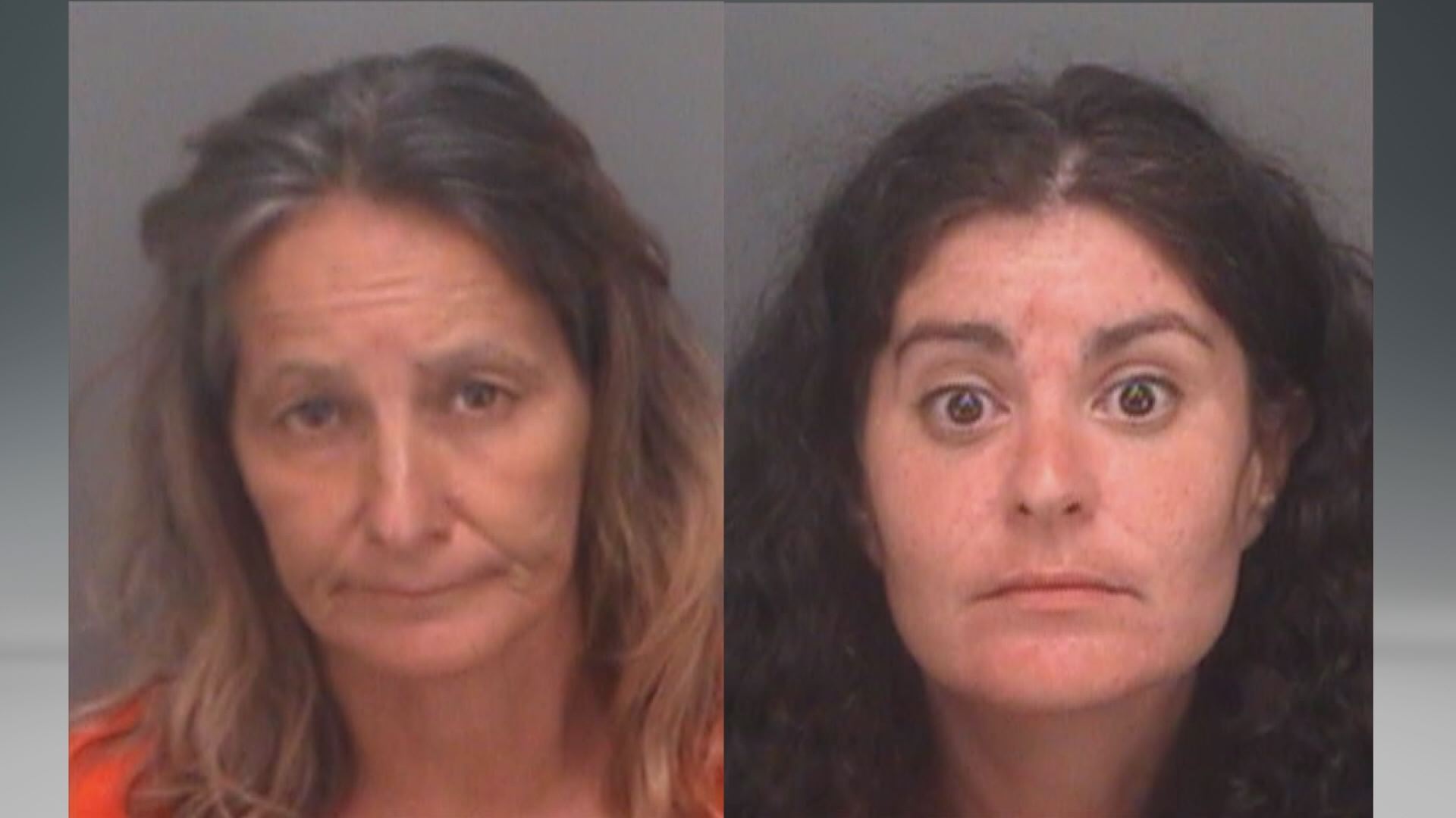 Victim in Gulfport elder abuse case identified | wtsp.com