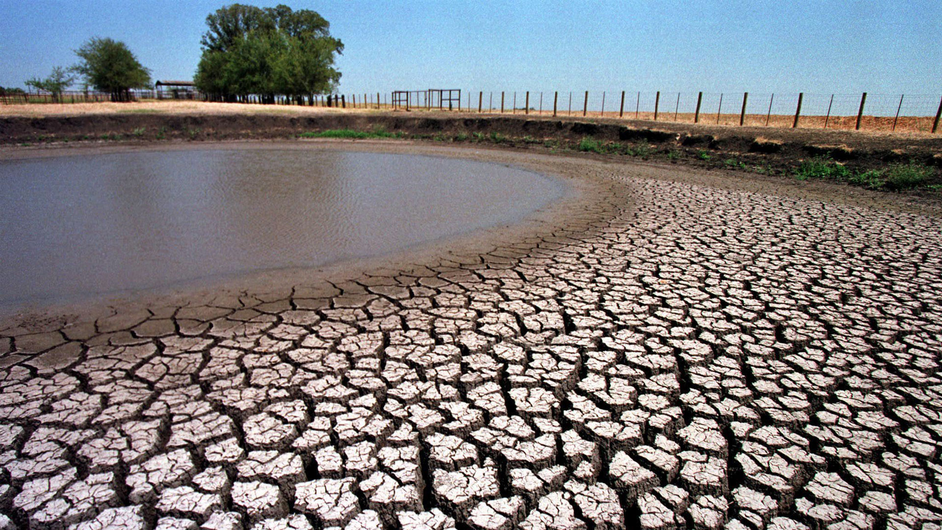 Climate scientists' diagnosis of Earth: "Fever rises" | wtsp.com