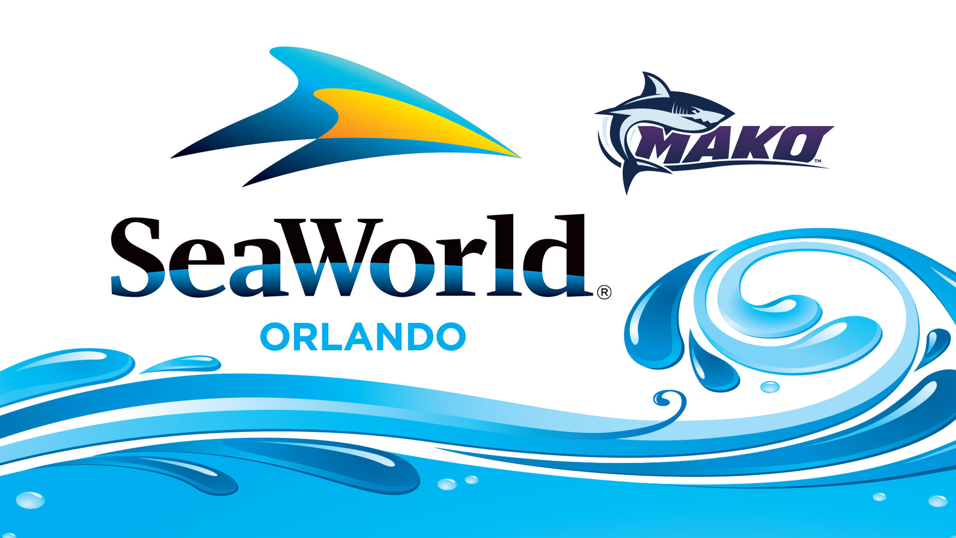 It's an orca! Last killer whale is born at a SeaWorld park | wtsp.com