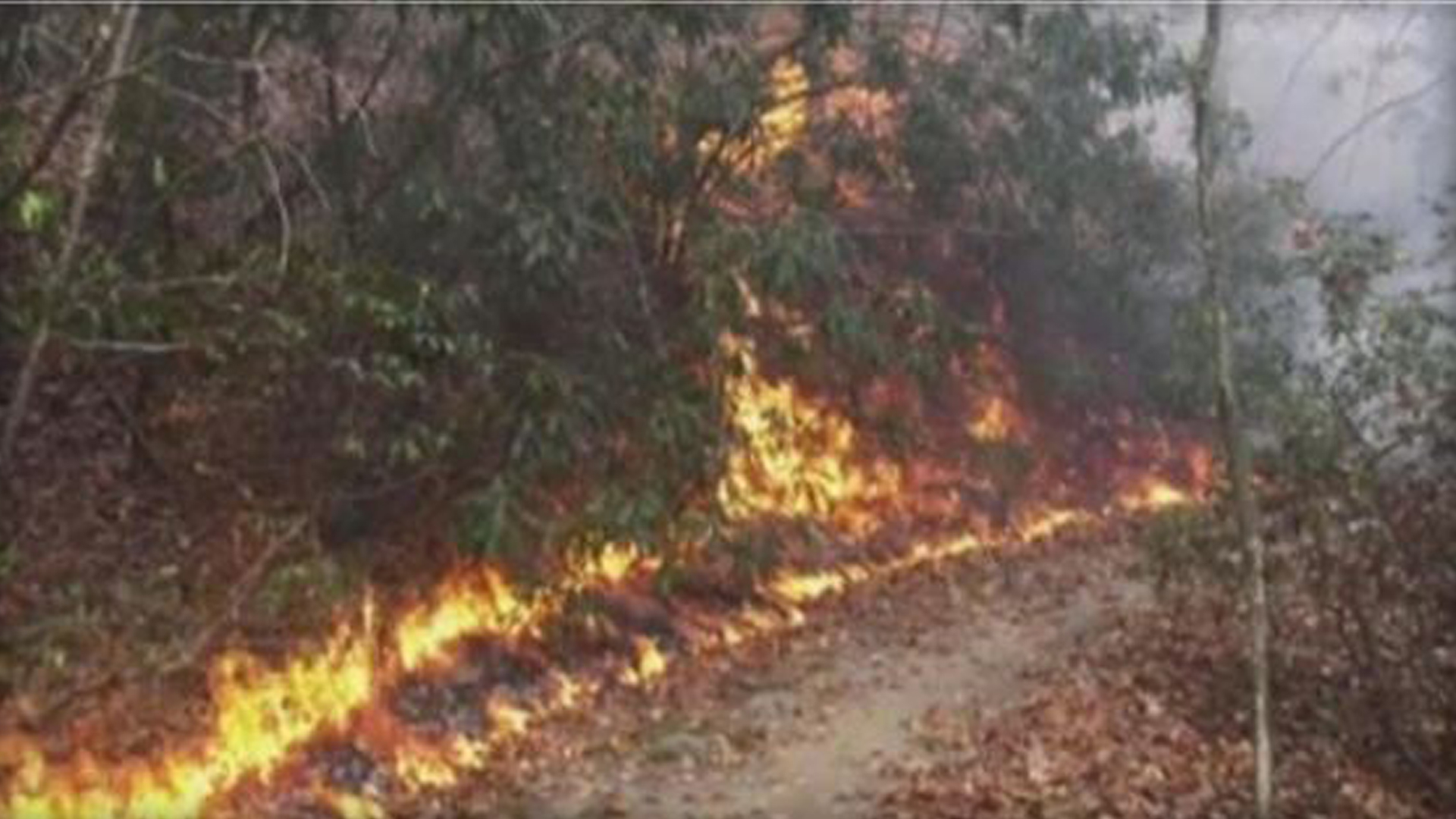 Wildfire bigger than Manhattan chars north Georgia mountains | wtsp.com