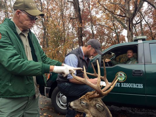 11-point buck costs man nearly $10K under Tenn. law | wtsp.com