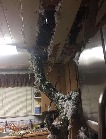 Large tree crashes into home | wtsp.com