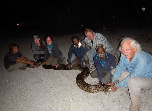 Pythons discovered in abandoned Florida missile base | wtsp.com