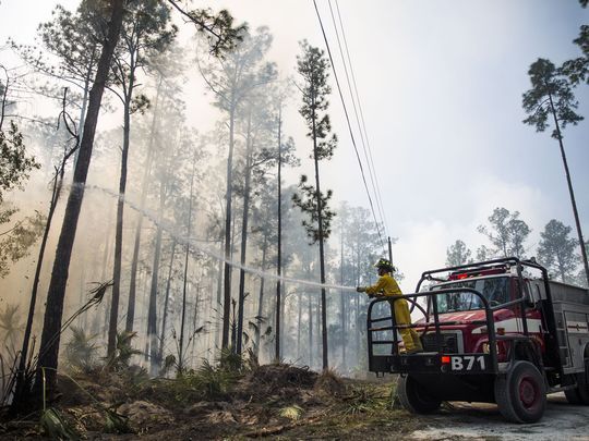 Large brush fire in Collier Co. grows to 6,000 acres | wtsp.com
