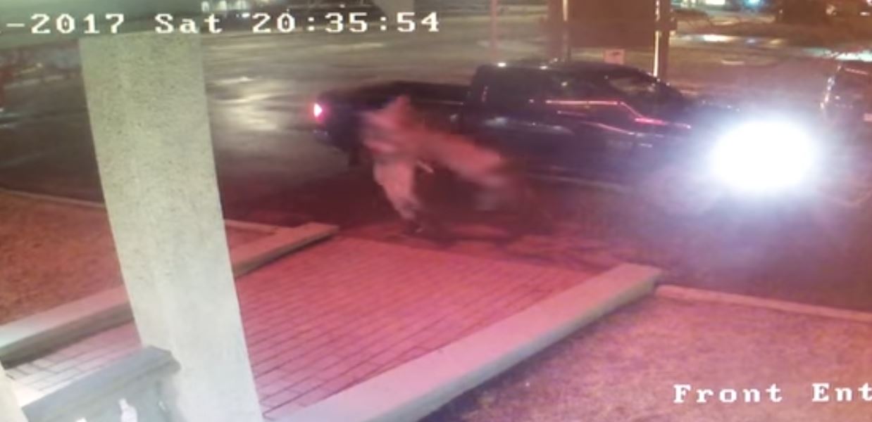 Canadian man gets run over by 'Bambi' | wtsp.com