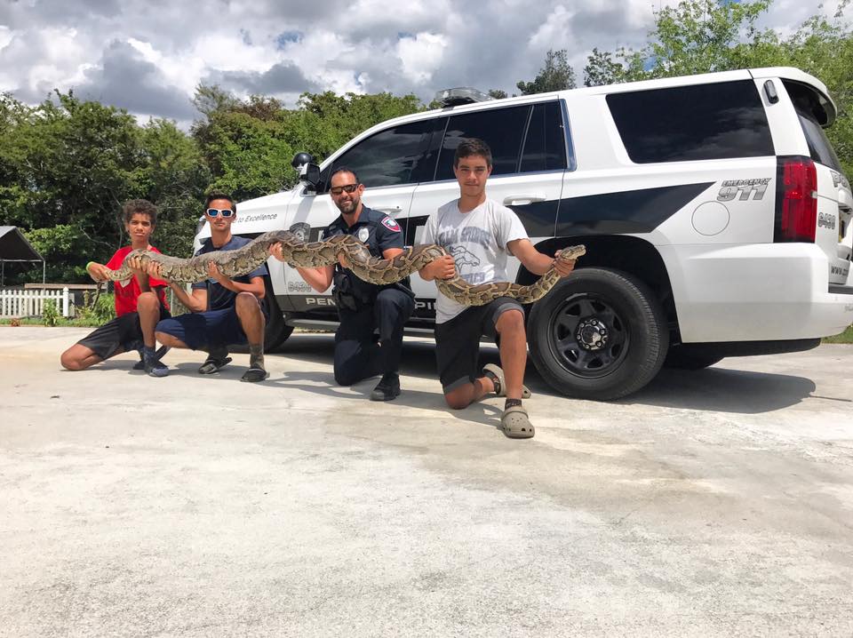 Teenagers catch 13-foot python near Everglades | wtsp.com