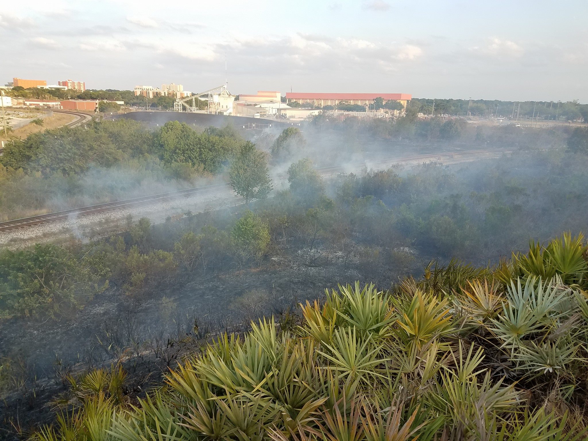 Road closed in Lakeland by brush fire | wtsp.com