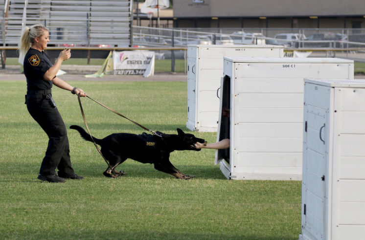 First female K9 handler in 35 years welcomed by PCSO | WTSP.com