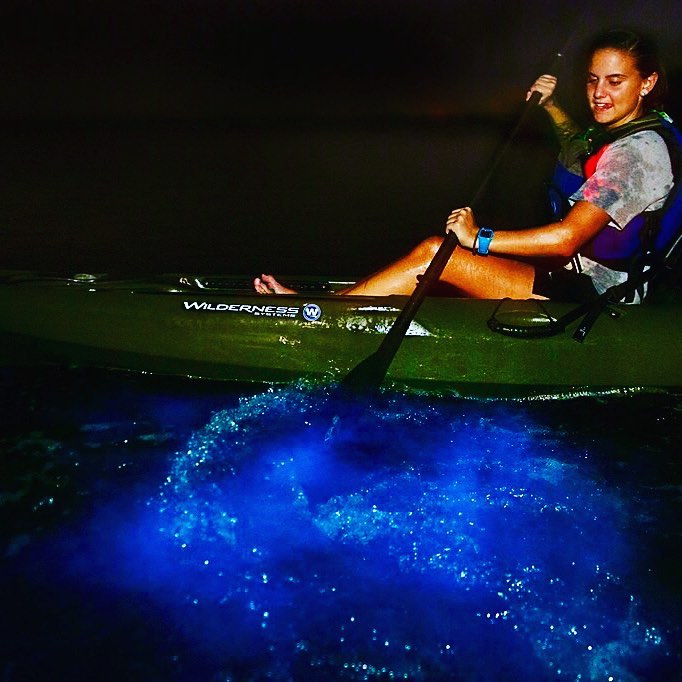 Florida Adventures: Try bioluminescent kayaking on the Space Coast ...