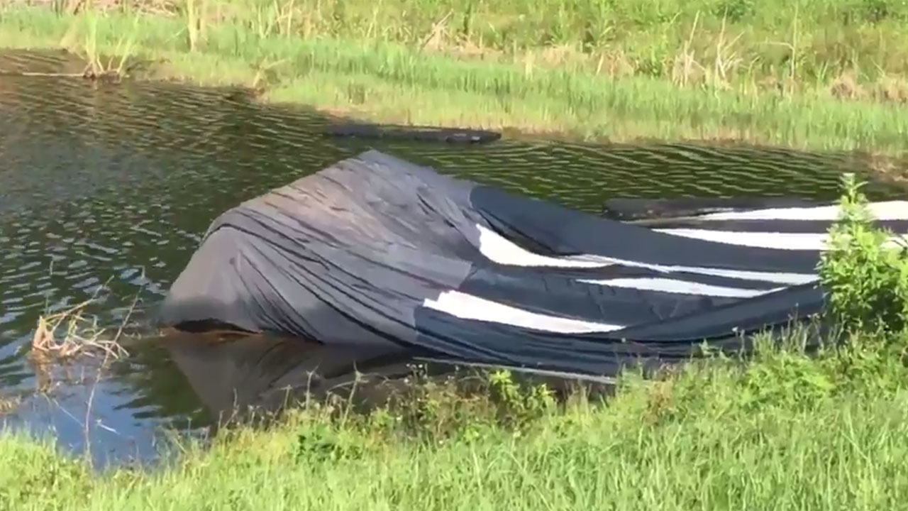 Hot-air balloon crashes in gator-infested waters | wtsp.com