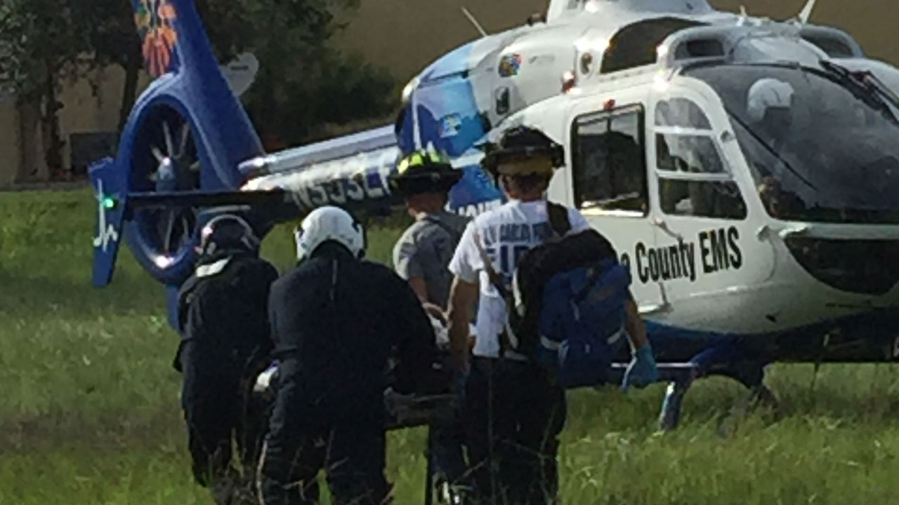 10-Foot Gator Bites Woman Working In Garden | wfmynews2.com