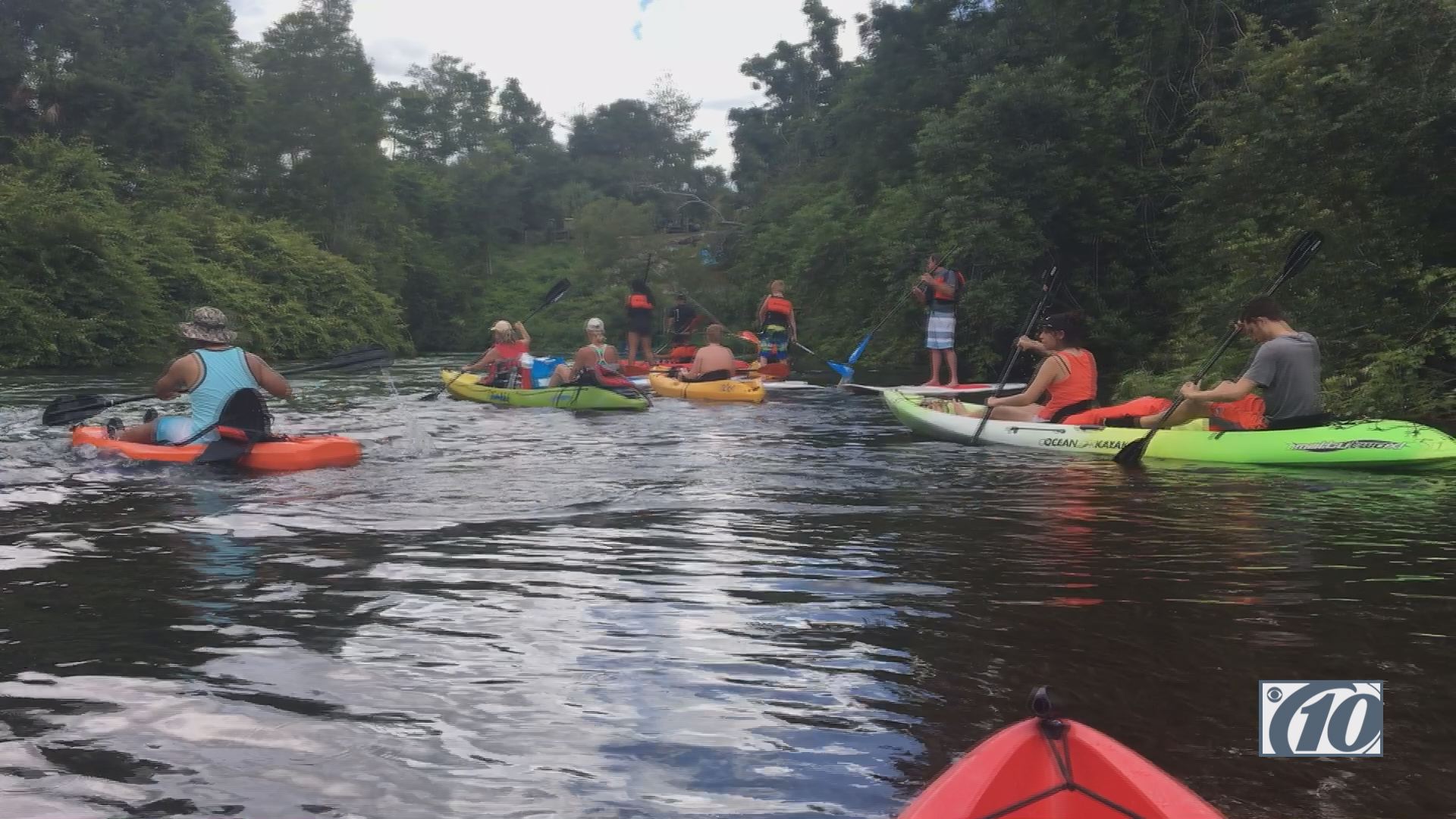 Tampa Bay Area Treasures: Kayak or paddleboard through crystal clear ...