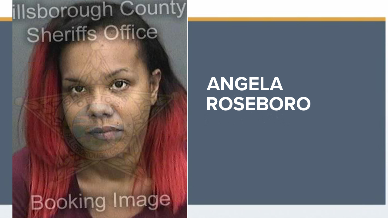 2nd person arrested in armed robbery of 86-year-old woman | wtsp.com